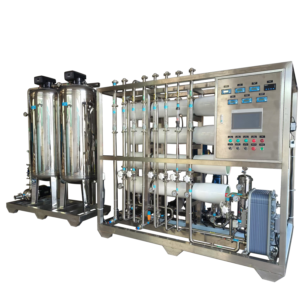 2000L/H Two Pass RO EDI Ultra Pure Water Treatment System with 18.2 MΩ ...