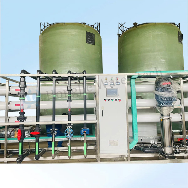 30T/H Single-stage Reverse Osmosis (RO) Pure Water System For The ...